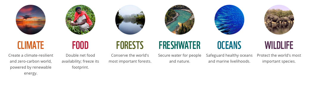 Our Partnership with WWF | dbramante1928